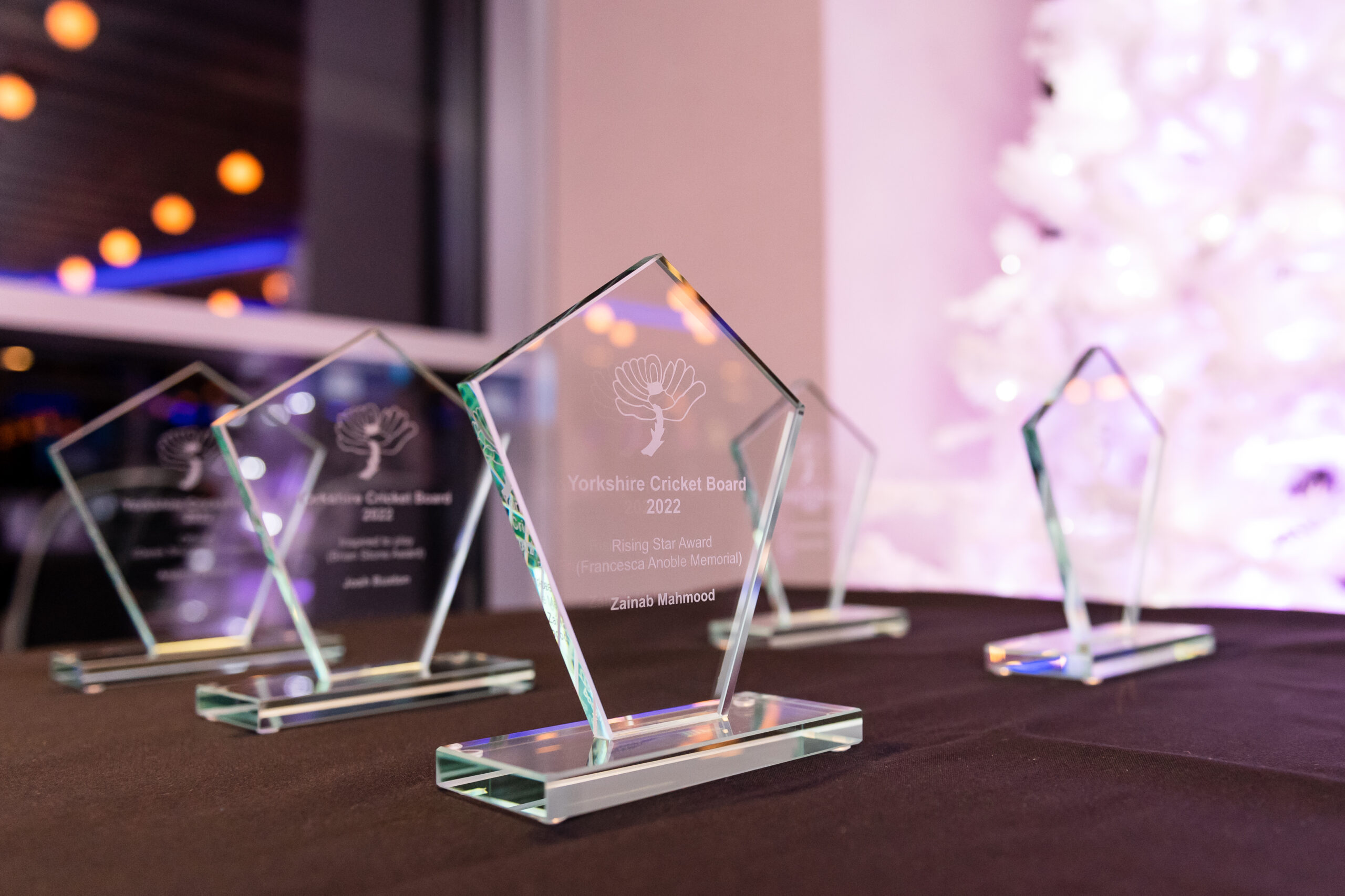 Yorkshire Cricket Collective Volunteer Awards and ECB Coach Awards 2023 ...